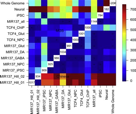 Cell Type Specific And Cross Population Polygenic Risk Score Analyses