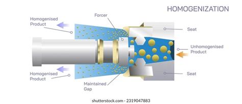 Multimode Single Mode Fiber Vector Stock Vector Royalty Free