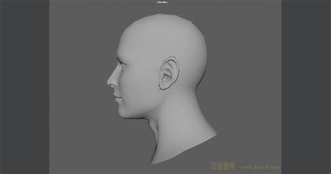 MAYA人头模型 人物头部模型 3D资源网 国内最丰富的3D模型资源分享交流平台
