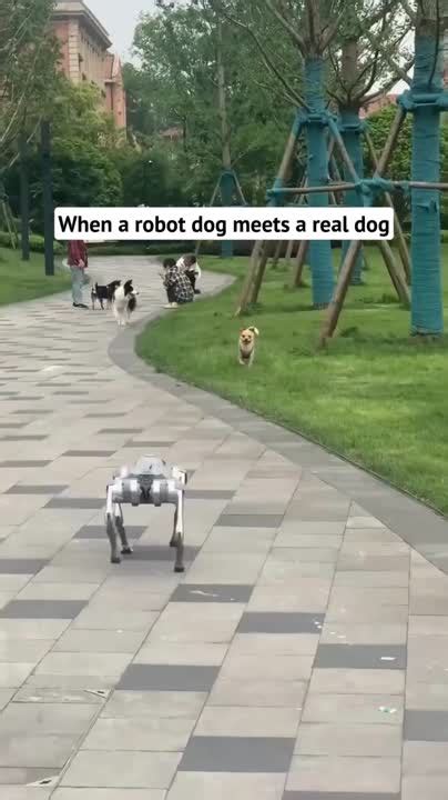 robotics automation robotics robots robot robotica cobot… cto