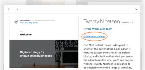 Plugin And Themes Auto Updates Documentation WordPress Org