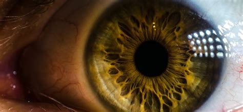 Quick Exercises To Test Your Visual Intelligence Inc Com