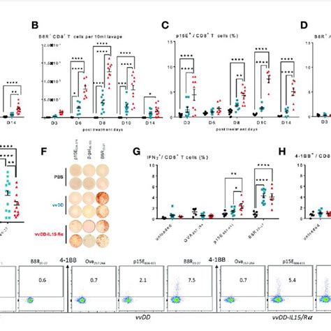 Immune Effector Cell Associated Neurotoxicity Syndrome Icans
