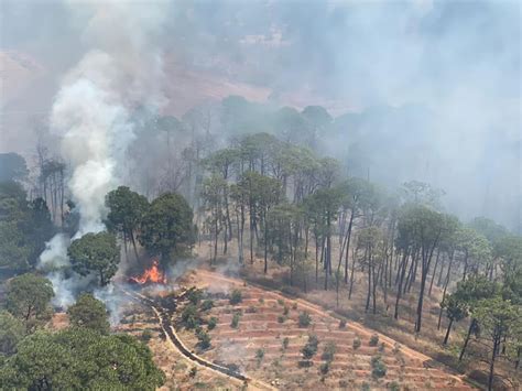 Suman 240 Hectáreas De Bosque Las Quemadas En Uruapan Red113