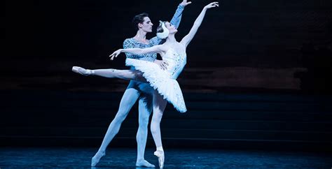 Swan Lake Palace Opera And Ballet Cinema Programme