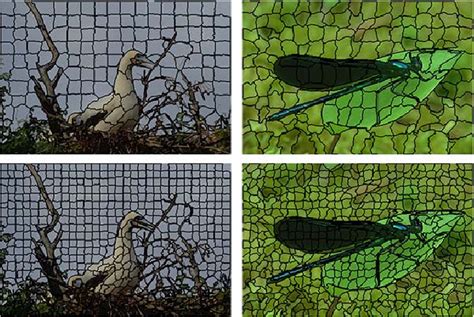 Figure 1 From Adaptive Nonlocal Random Walks For Image Superpixel Segmentation Semantic Scholar