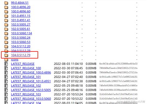 chromedriver下载 chromedriver 下载 csdn博客