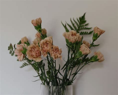 고상한 고요한 꽃 꽃 장식 꽃꽂이 꽃잎 낭만적인 미니멀리스트 배열 벽 봄 부드러운 부드러운 빛 부케 생생한 섬세한 소프트 핑크 식물 식물군