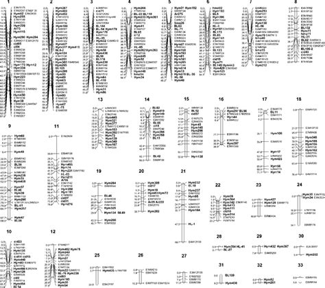 The Combined Microsatellite And Amplified Fragment Length Polymorphism