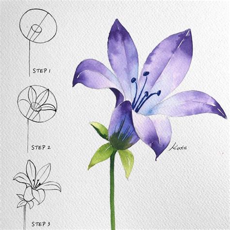 Акварель Уроки рисования Запись со стены Flower drawing tutorials Flower drawing