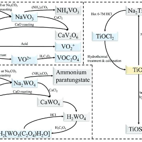 Transformation Relationships Of Substances During Extraction Download Scientific Diagram