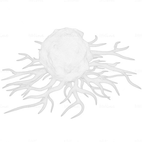 Cancer Cell 3d Model