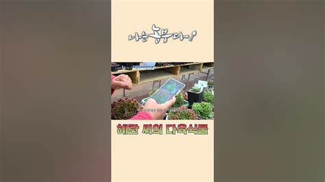 나는농부다 282회 혜란 씨의 다육식물 Youtube