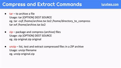 Linux Basics And Commands From