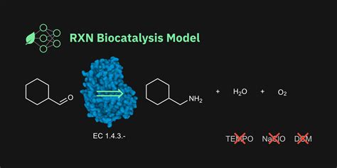 GitHub Rxn Chemistry Biocatalysis Model RXN For Biochemical Reactions