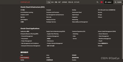 高效指南：windows下oracle 19c一键安装卸载！ windows卸载oracle19c csdn博客