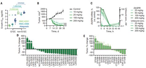 Science：靶向突变kras与分子伴侣蛋白的活性状态 知乎