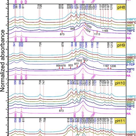 comparative ftir atr spectra of β tcp rifampicin form ii and β tcp