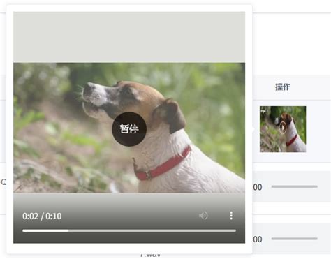 Vueelement Ui，实现表格渲染缩略图，鼠标悬浮缩略图放大，点击缩略图播放视频（一） Ew帮帮网