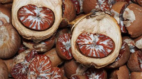 From Chilgoza To Chiraunji The Lesser Known Nuts Of India And Their