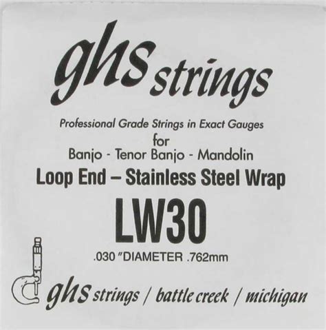 Stainless Steel Loop End Single Strings