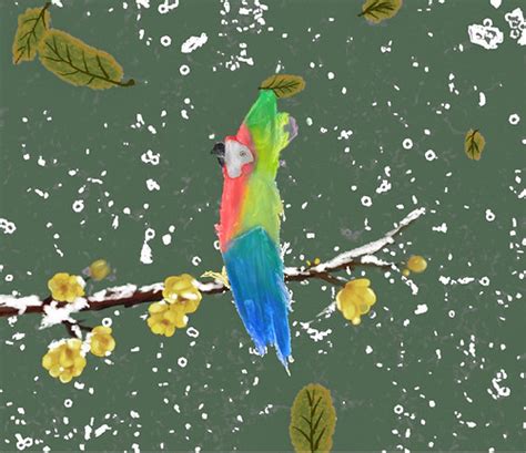 Xin Zhang Hematite Minerals On Silicon Substrate Which Lo… Flickr