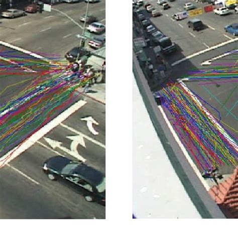 Pedestrian Behavior During Interactions With Pedestrians In Other