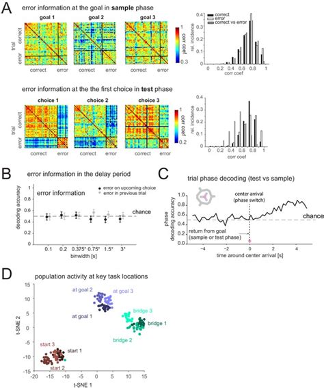 Canonical Goal Selective Representations Are Absent From Prefrontal Cortex In A Spatial Working