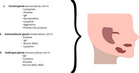 Salivary Diagnostics In Oral Cancer Intechopen
