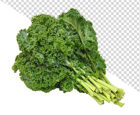 Premium PSD Spinach Png