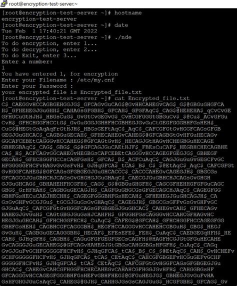 The Content Of Encrypted Non Data File Download Scientific Diagram