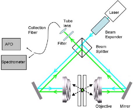 Nanometer Scale Axial Localization Of Fluorescent Emitters For Cellular Imaging Semantic Scholar