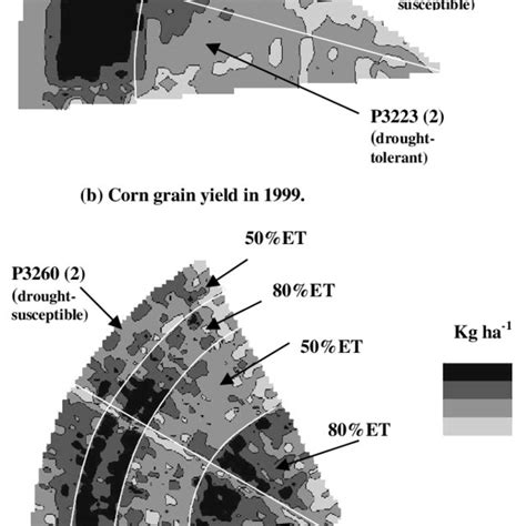 Spatial Variability Of Corn Grain Yields In A 1998 And B 1999