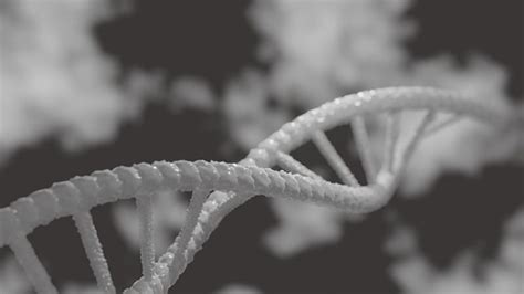 Population Deep Sequencing Identifies Pockets Of Multi Drug Resistant And Virulent Pathogen