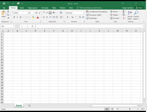 Excel 2016 Window Diagram Quizlet
