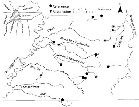 Map Of Reaches Of Coastal Plain Streams In West Tennessee U S A Download Scientific Diagram