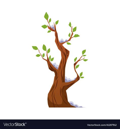Tree Naked Trunk Covered In Snow Grow New Leaf Vector Image
