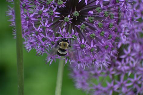 85378 Fotos Y Imágenes De Ecosistemas Gratis · Banco De Fotos Gratis