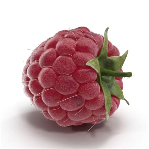 Fresh Raspberry 3d Model