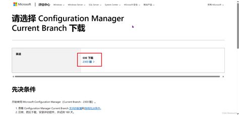 Sccm软件包sccm Package Csdn博客