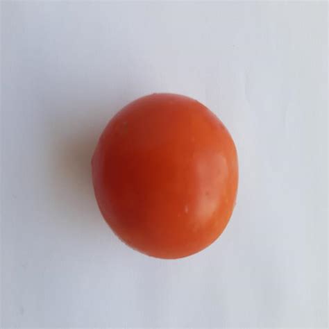 Tomato Detection Object Detection Dataset By Objet Detection