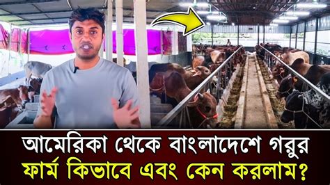 আমেরিকা থেকে বাংলাদেশে গরুর ফার্ম করার সিদ্ধান্ত কেন নিলাম Cow Farm Bangladesh Me N More Youtube