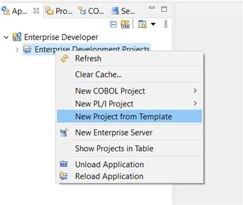 자습서 Rocket Enterprise Developer이전 Micro Focus Enterprise Developer에서