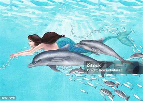 돌고래와 물고기 의 학교 중 바다 표면에서 수영 하는 수채화 인어 0명에 대한 스톡 벡터 아트 및 기타 이미지 0명 가공의 인물 갈색 머리 Istock