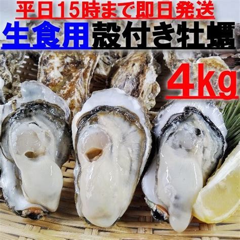 期間限定ムール貝のおまけつき生食用 殻付き 牡蠣 4kg約40粒九州沖縄は別出品を牡蠣 殻付き 牡蛎 牡蠣 殻付 宮城県 生