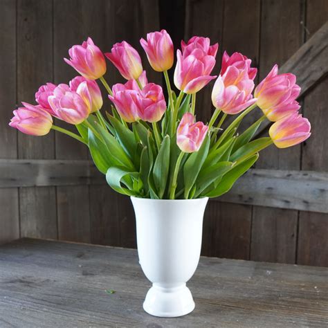 Tulip Tom Pouce 20 Bulbs Two Sisters Flower Farm Tulip Tom Pouce 20 Bulbs Two Sisters Flower Farm