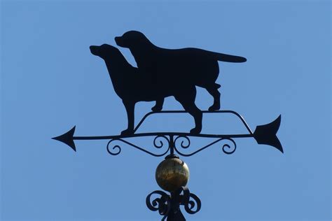 10 000 Free Wind Vane And Wind Images Pixabay