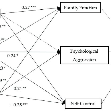 Standardization Path Model P