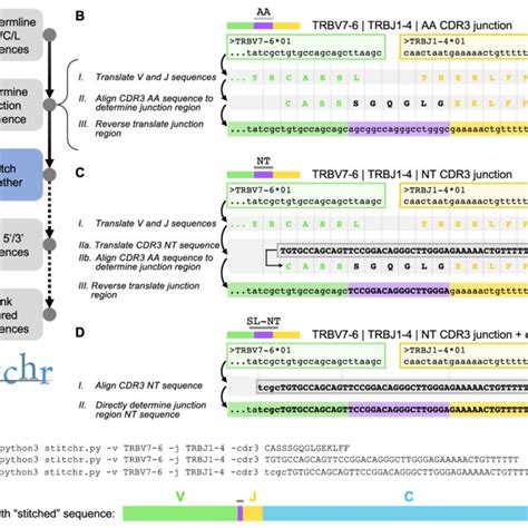 Assessment Of Stitchrthimble Accuracy On High Throughput Tcr Seq Data Download Scientific