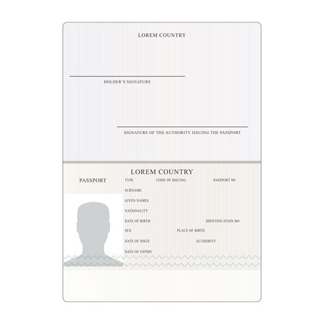 International Passport Vector People Identification Document Business